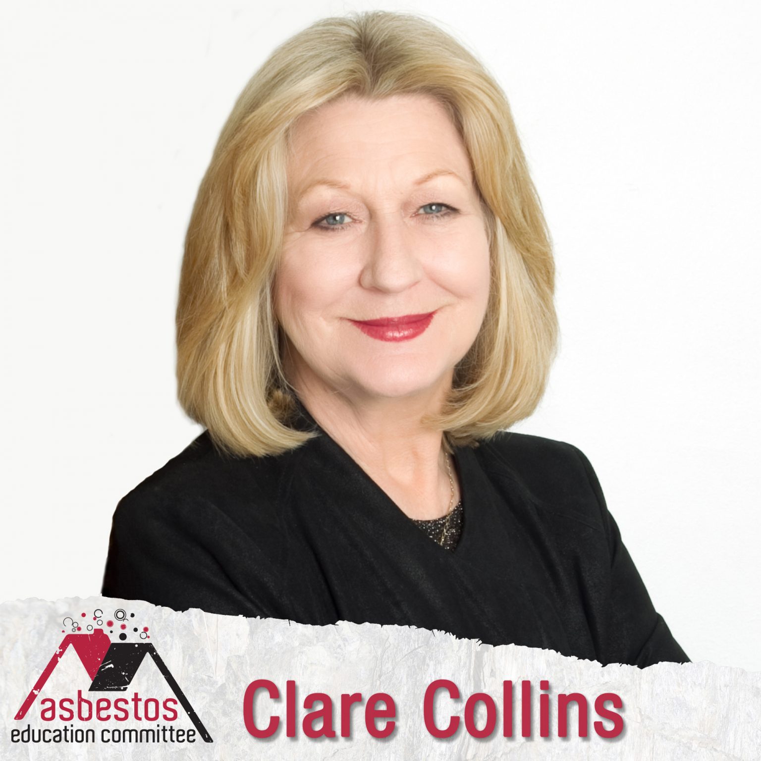 Asbestos Education Committee Members | Asbestos Awareness