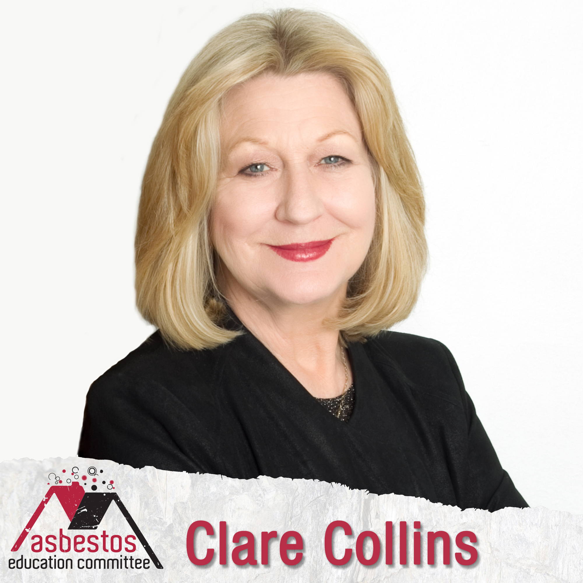 Asbestos Education Committee Members | Asbestos Awareness